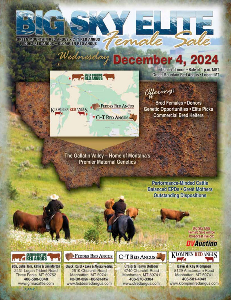 Feddes Red Angus | Big Sky Country Red Angus