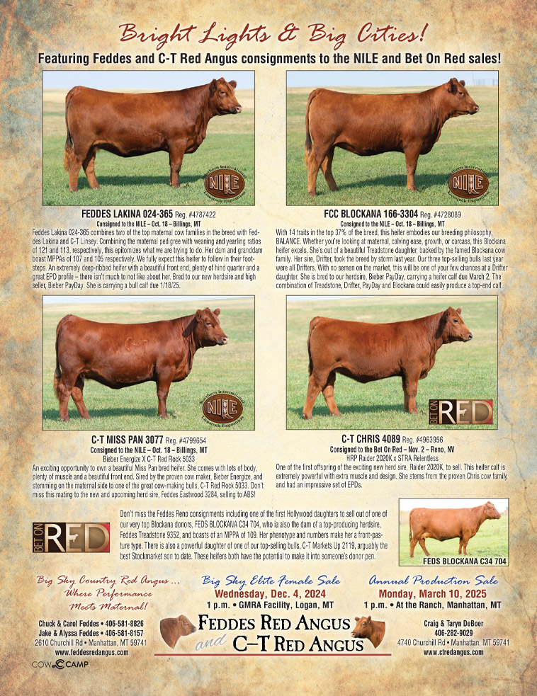 Feddes Red Angus | Big Sky Country Red Angus