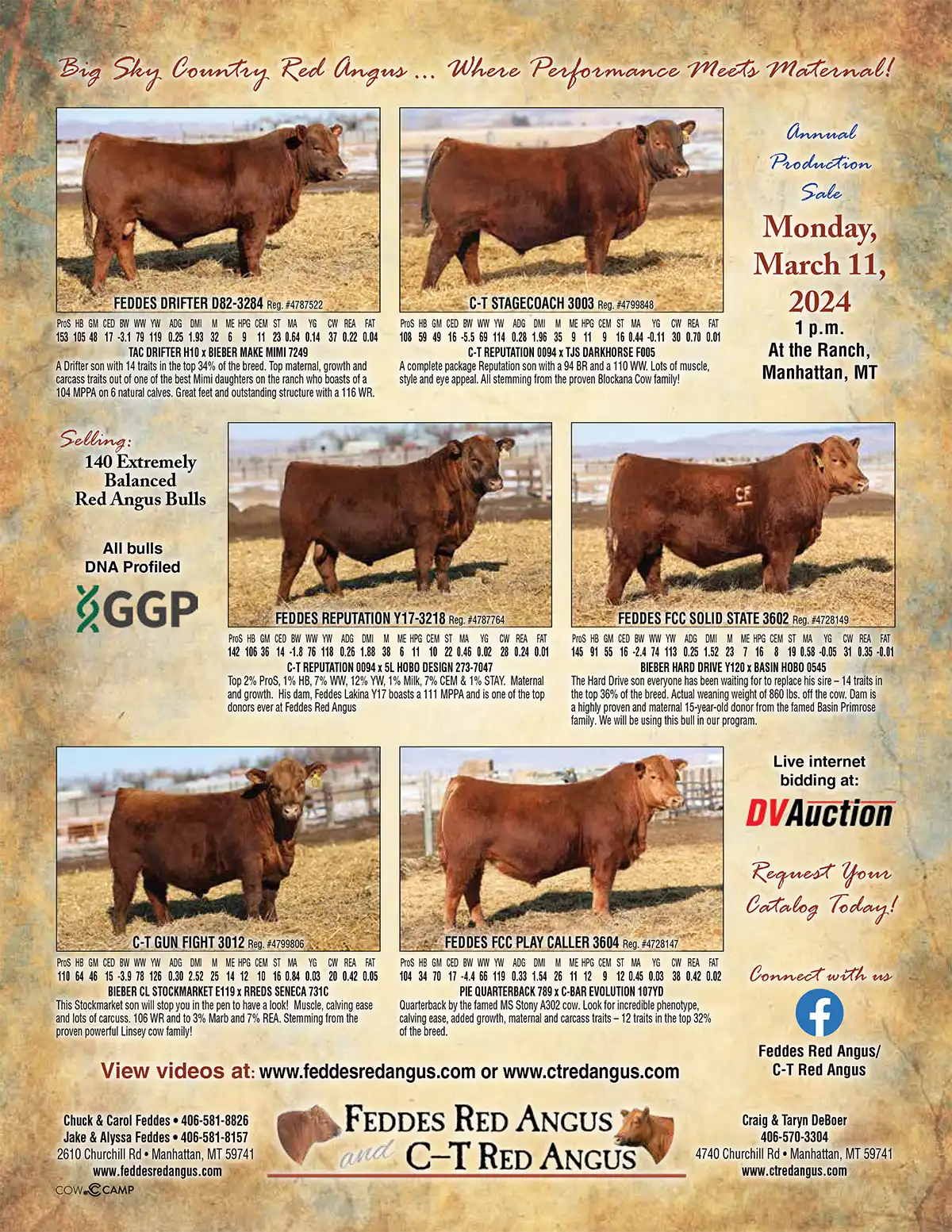 Feddes Red Angus | Manhattan Montana
