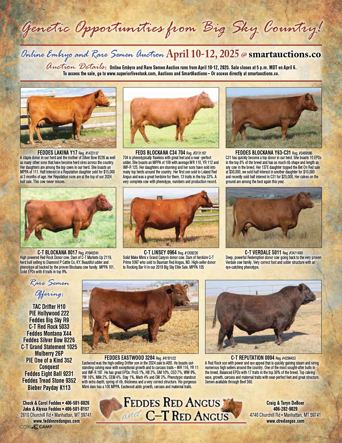 Feddes Red Angus | Big Sky Country Red Angus